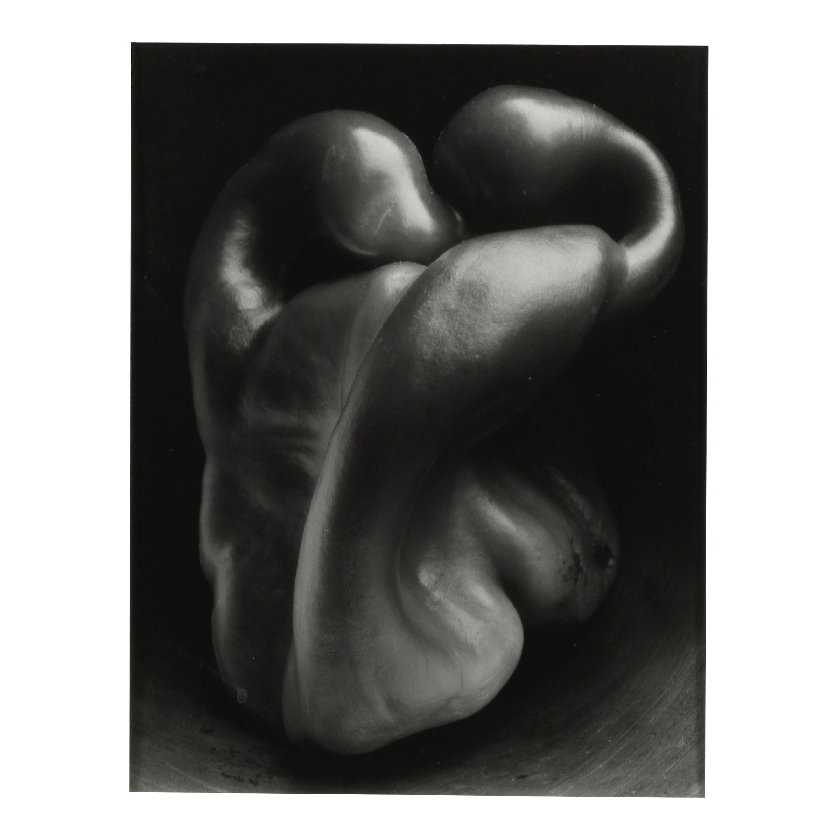 Collecting 101 The Photographs Of Edward Weston Collecting 101 The Photographs Of Edward Weston