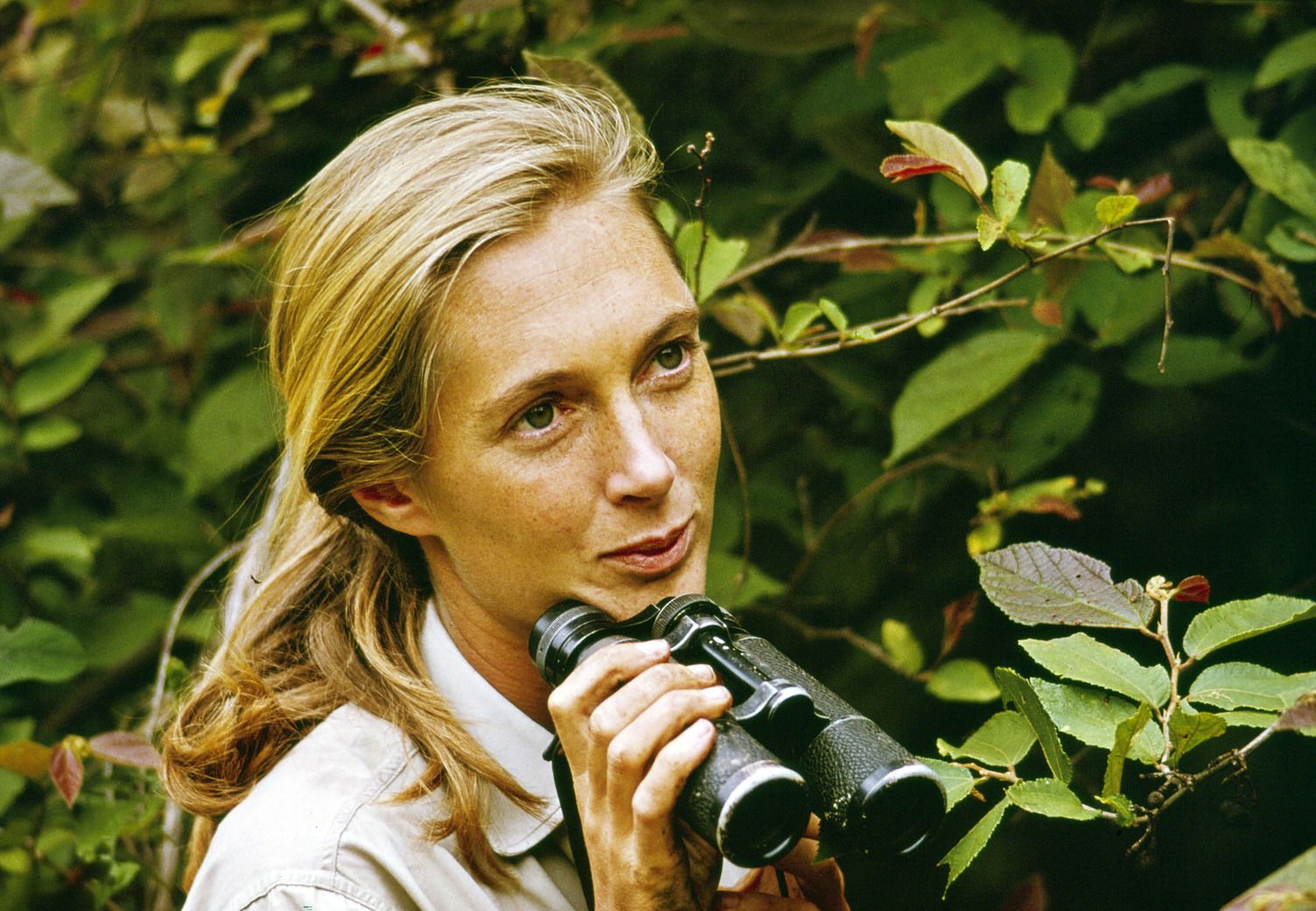 Dr. Jane Goodall's Legacy of Change