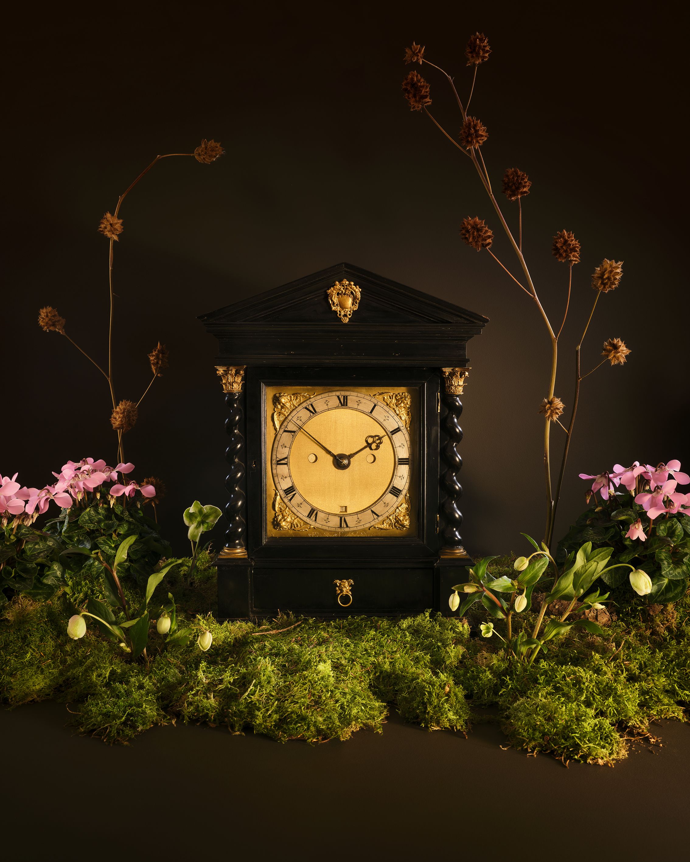 Rollo Skinner's Floral Odyssey